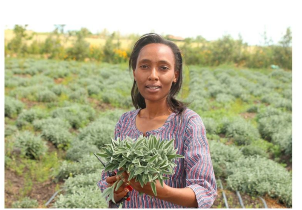 Grace Muchai: Meet Business Graduate Making Over Sh 100 000 Per Season ...