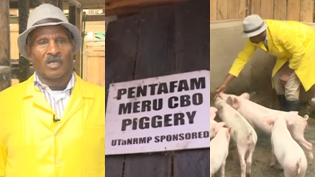 Samson Mbae: How Retired Teacher Found Success in Piggery after ...