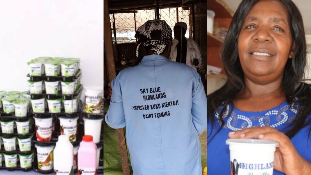 Margaret Ruguru: Local Milk Seller Now Running a Fully Fledged Milk ...