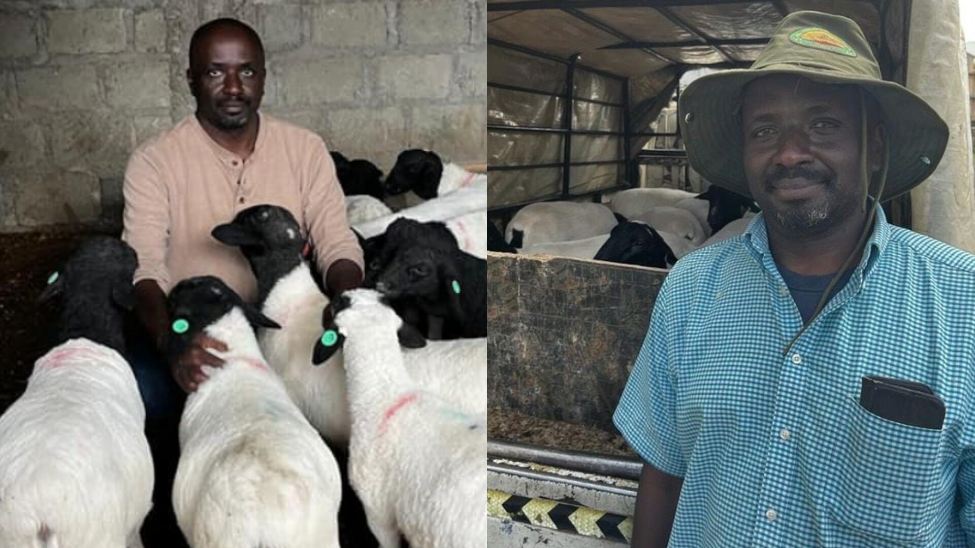 James Chege: Meet Farmer Who Quit Well Paying Job In The US to Rear ...