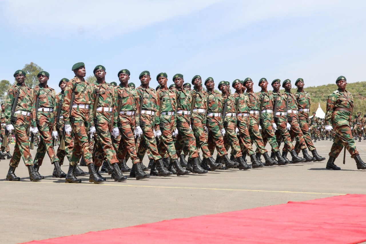 How to Join Kenya Forest Service, Requirements, Salaries and ...