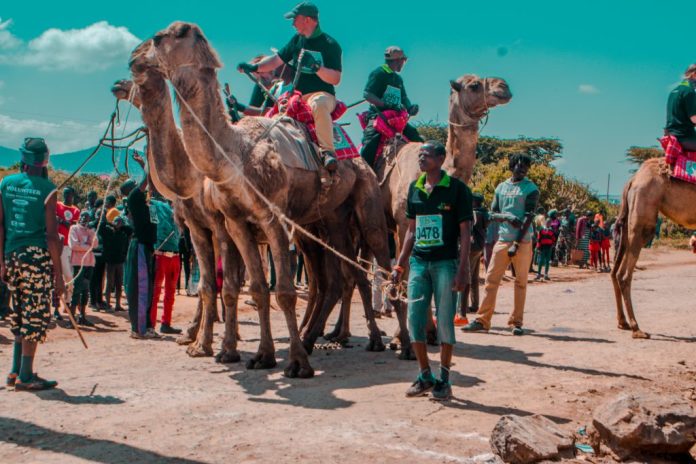 Traditional Festivals in Kenya: A Guide to the Best Celebrations ...